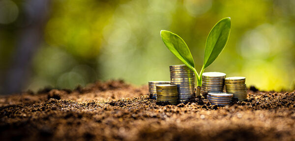 Marketing Verde O Que é Como Aplicá Lo E Exemplos
